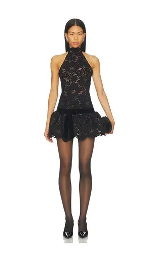 Cocktail Dresses