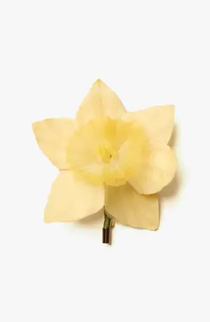 HELENA SIMON Daffodil Floral Brooch - Yellow