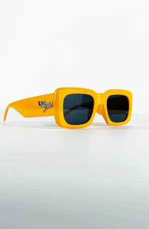 WISDOM FASHION HOUSE Carrots X Wisdom Sunglasses