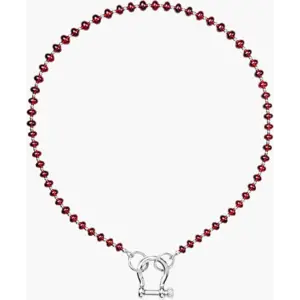 SHOP SPICY DAN Ruby Garnet Necklace - Red/silver