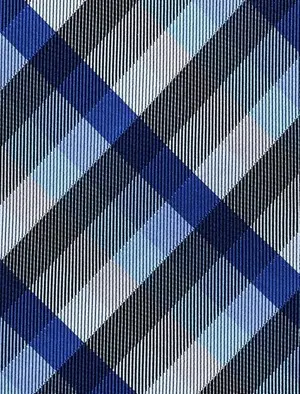 SYNRGY Multi Check Neck Tie - Blue