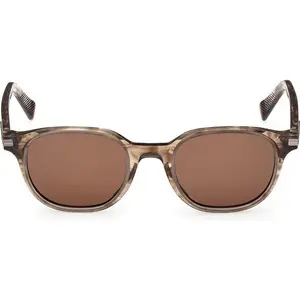 Zegna 50mm Round Frame Sunglasses Trasnp Dark Brown/brown