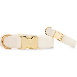 THE FOGGY DOG Velvet Dog Collar - Ivory