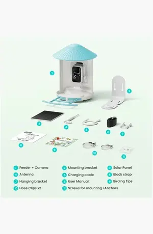 BIRDFY Smart Bird Feeder With Camera