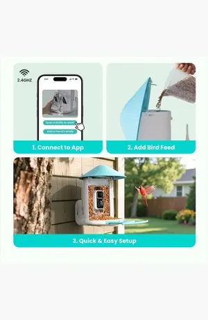 BIRDFY Smart Bird Feeder With Camera