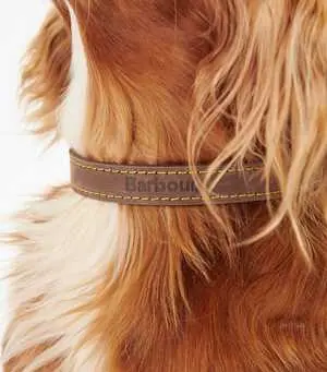 Barbour Leather Dog Collar