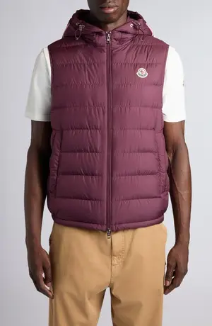 Men's Purple Vests