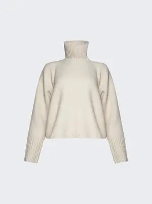 Oversized Turtleneck