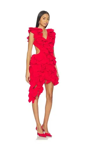 AKNVAS Ruffle Dress