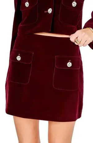 Endless Rose Velvet Mini Skirt With Jeweled Buttons