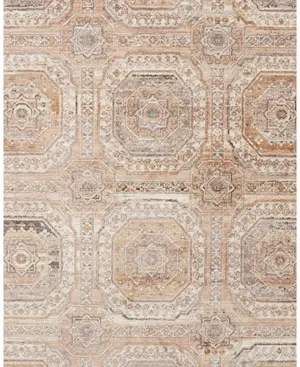 LOLOI Sonnet Snn-06 Area Rug 2'6x4'0