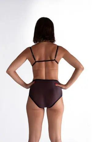 LECHERY® Lustrous Sheer High-waisted Brief