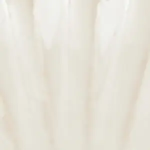 MAISON MARGAUX Set Of 4 Shell Bread Plates