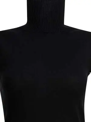 Max Mara Sportmax Mock Neck Sleeveless Top
