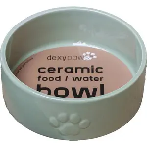DEXYPAWS 26oz Ceramic Dog Bowl - Green