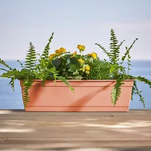 BLOEM 24 Inch Dayton Window Box Planter