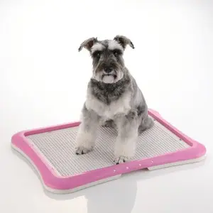 RICHELL Paw Trax Dog Potty Training Tray