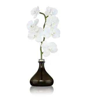 SENTI The Orchid Bergamot And Ginger Diffuser - Black