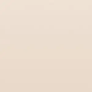 Aerin Lacquered Varda Photo Frame