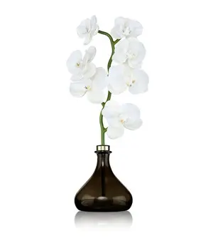 SENTI The Orchid Amber And Oud Diffuser - Black