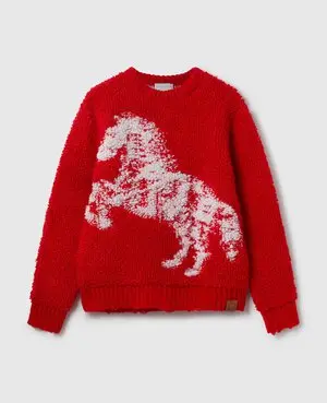 Stella Mccartney Graphic Sweaters For Women
