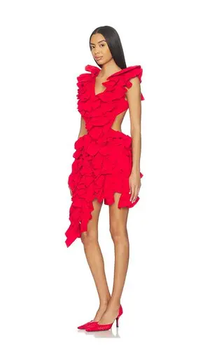 AKNVAS Ruffle Mini Dress