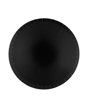 JOLLITY & CO Solid Shade Colors, Paper Party Dinner Plates, Set Of 8 - Onyx
