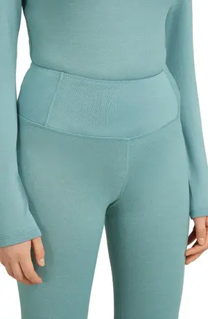 Icebreaker Merino Wool 260 Tech Leggings - Hydro