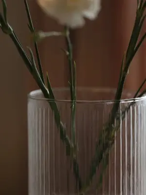 FLECK Fluted Glass Vase/planter