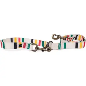 Pendleton National Park Adventure Leash - Glacier