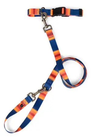 Pendleton National Park Adventure Leash - Grand Canyon