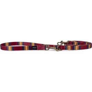 Pendleton National Park Adventure Leash - Zion