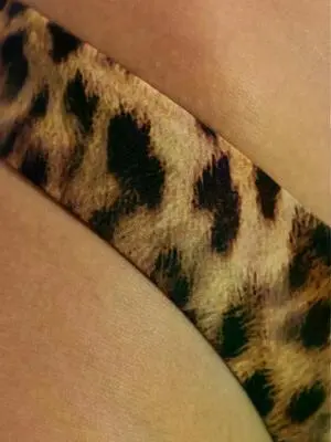 Melissa Odabash Prague Bikini Bottom