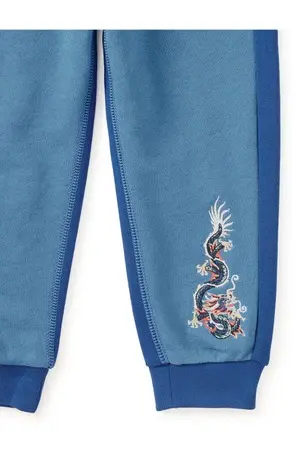 TEA COLLECTION Colorblock Dragon Joggers