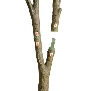 NEARLY NATURAL 7' Artificial Dogwood Tree