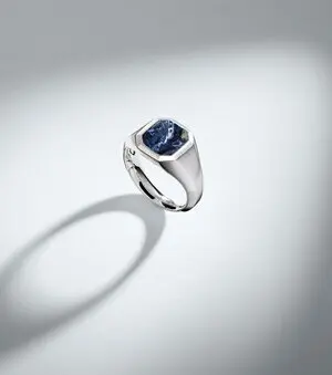 David Yurman Streamline® Ring With Pietersite - Silver