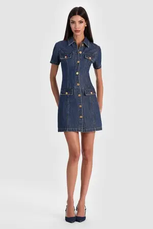 Alice + Olivia Jamie Mini Dress