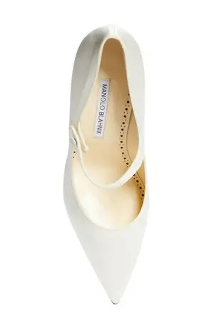 Manolo Blahnik Camparinew Pointed-toe Mary Jane Pumps