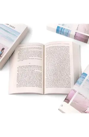 JUNIPER BOOKS Elena Ferrante's Neapolitan Novels Book Set
