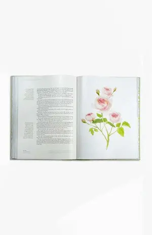 BOND & GRACE The Secret Garden Art Novel Collector's Edition