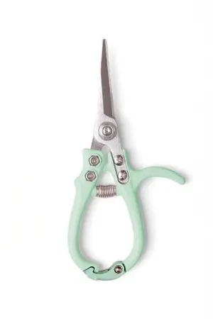 JUNGLE CLUB Pruning Shears Lagoon