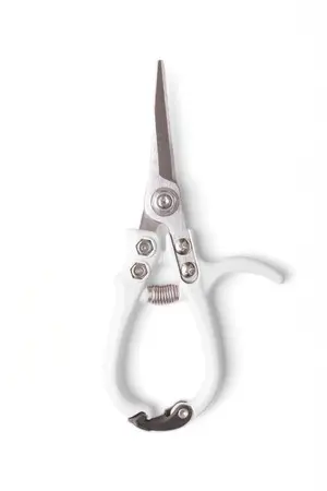 JUNGLE CLUB Pruning Shears White
