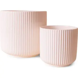 JUNGLE CLUB Lucy Planter - Petal Pink