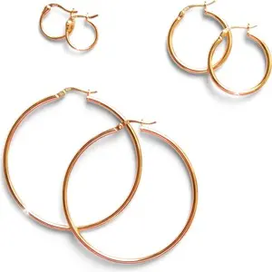 SUNSHINE STUDIOS Chelsea Hoop Earrings