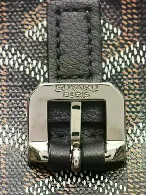 Goyard 2010s Capetien Mm Shoulder Bag