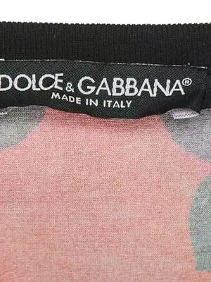 Dolce & Gabbana Floral-print T-shirt