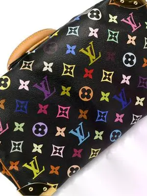 LOUIS VUITTON Speedy 30 Handbag - Black