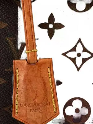 LOUIS VUITTON Cluny Top Handle Mm Shoulder Bag Monogram Canvas