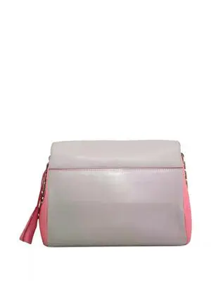 Dior Diorling Shoulder Bag