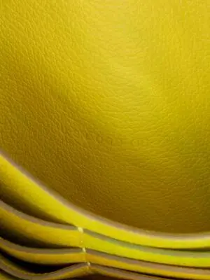 Hermès 2022 Evercolor Constance Wallet To Go Crossbody Bag - Yellow